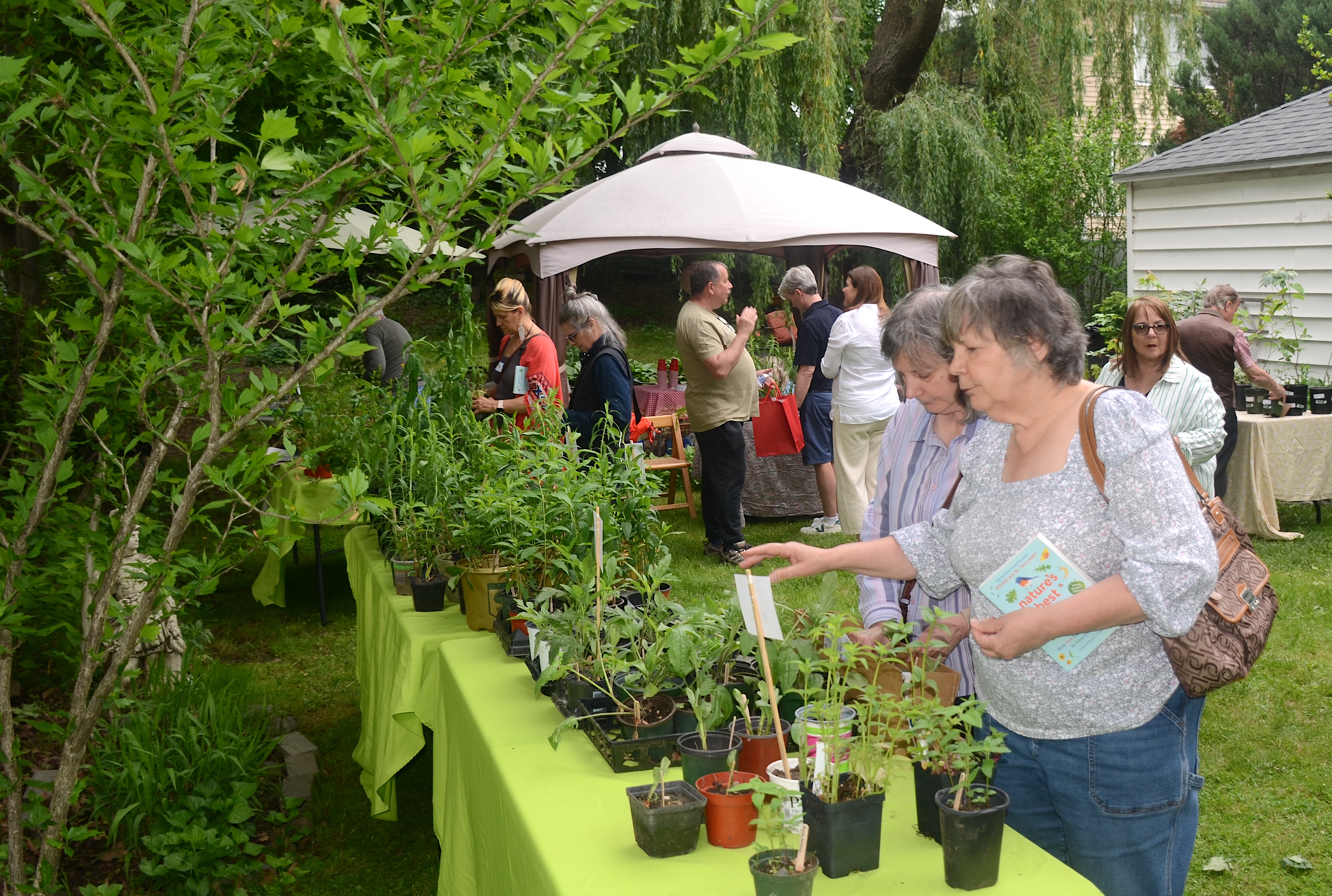 2025 Spring Plant Sale – Native Plant Society of Staten Island